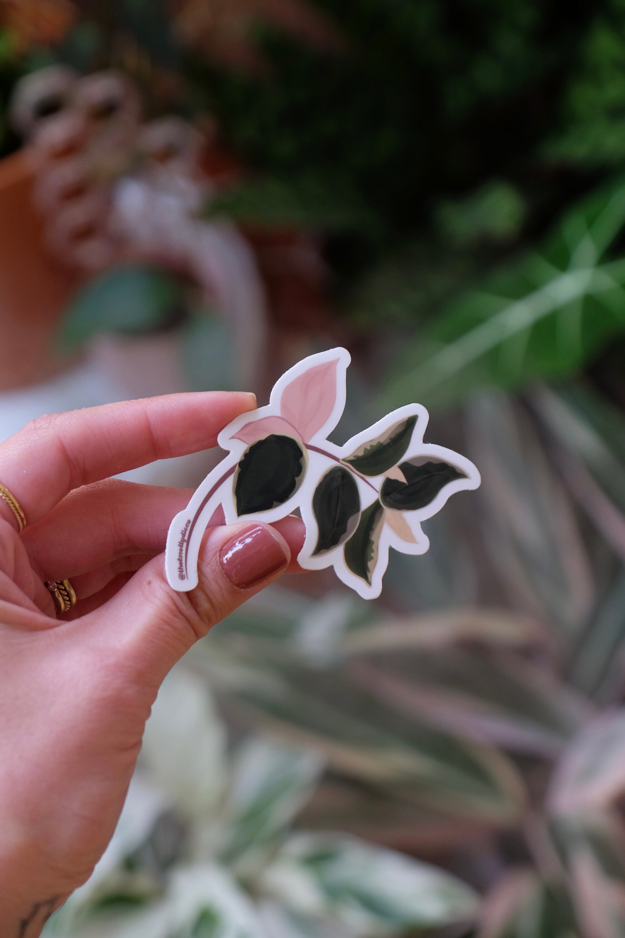 Hoya Sticker Pack 3 inch Vinyl Plant Stickers Krimson | Etsy