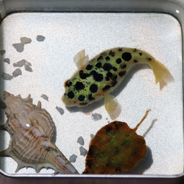 Epoxy Resin Painting - Etsy