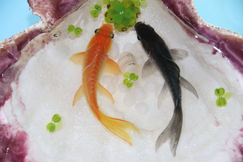 Purple Shells A Pair of Koi Live in Purple Shells the Size of - Etsy