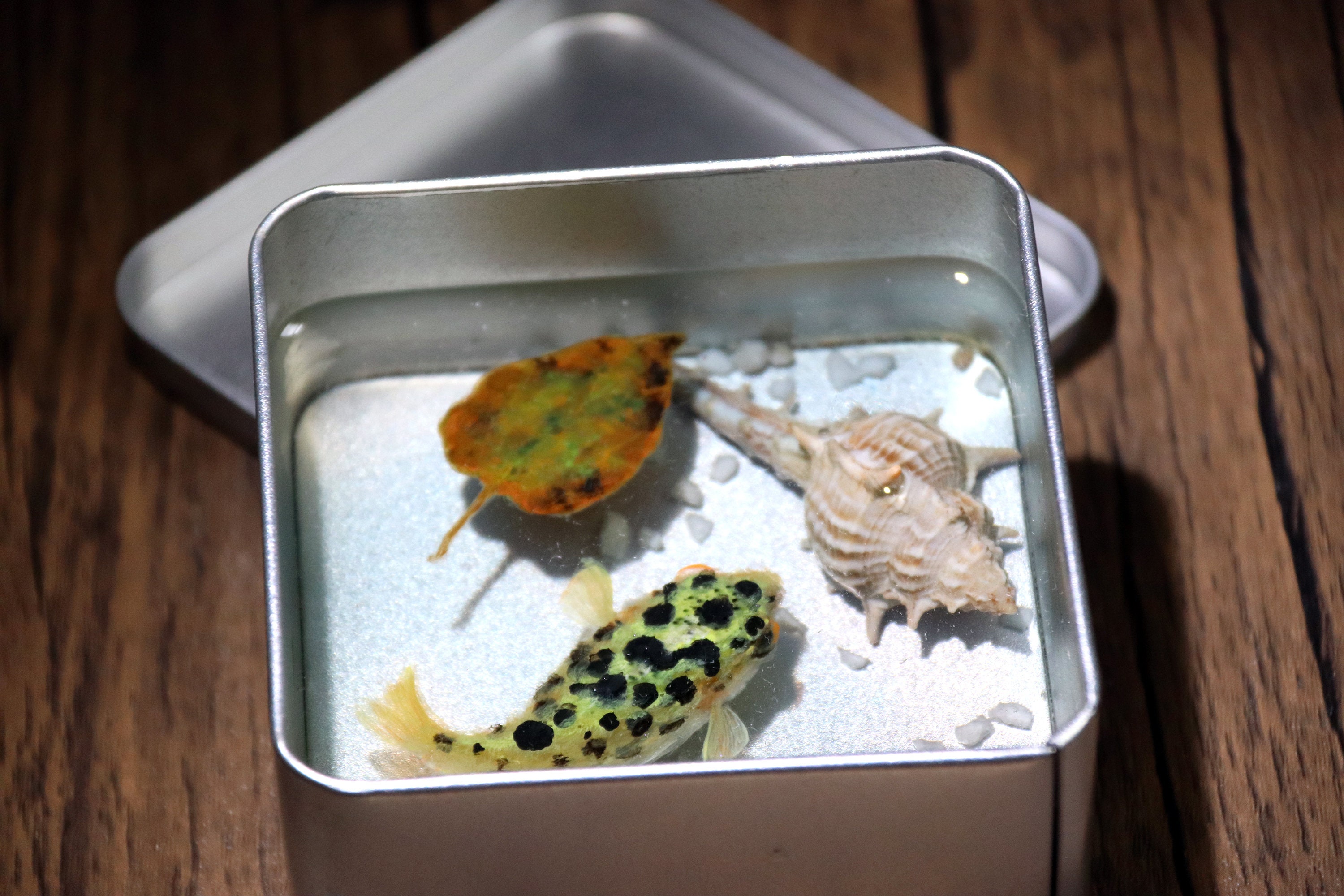 Epoxy Layers Painting Puffer Fish in an Iron Box Resin - Etsy