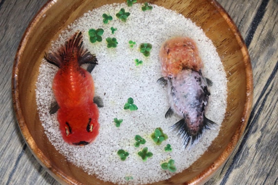 3D Resin Painting Goldfish 3D Painting Fish Tank 3D Resin | Etsy