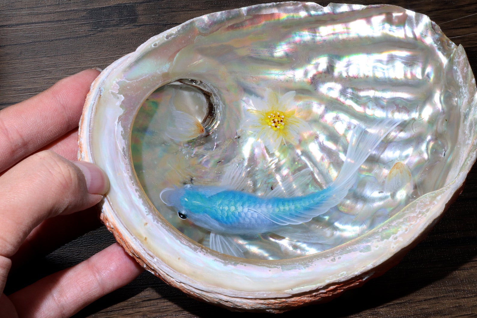 Fish Painting Abalone Shell Painting Koi Blue Koi Lay in - Etsy