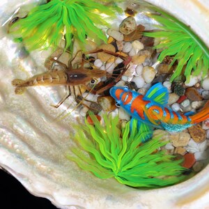 Resin Crafts Abalone Shell Aquarium, 3D Resin Painting Mandarin Fish in ...