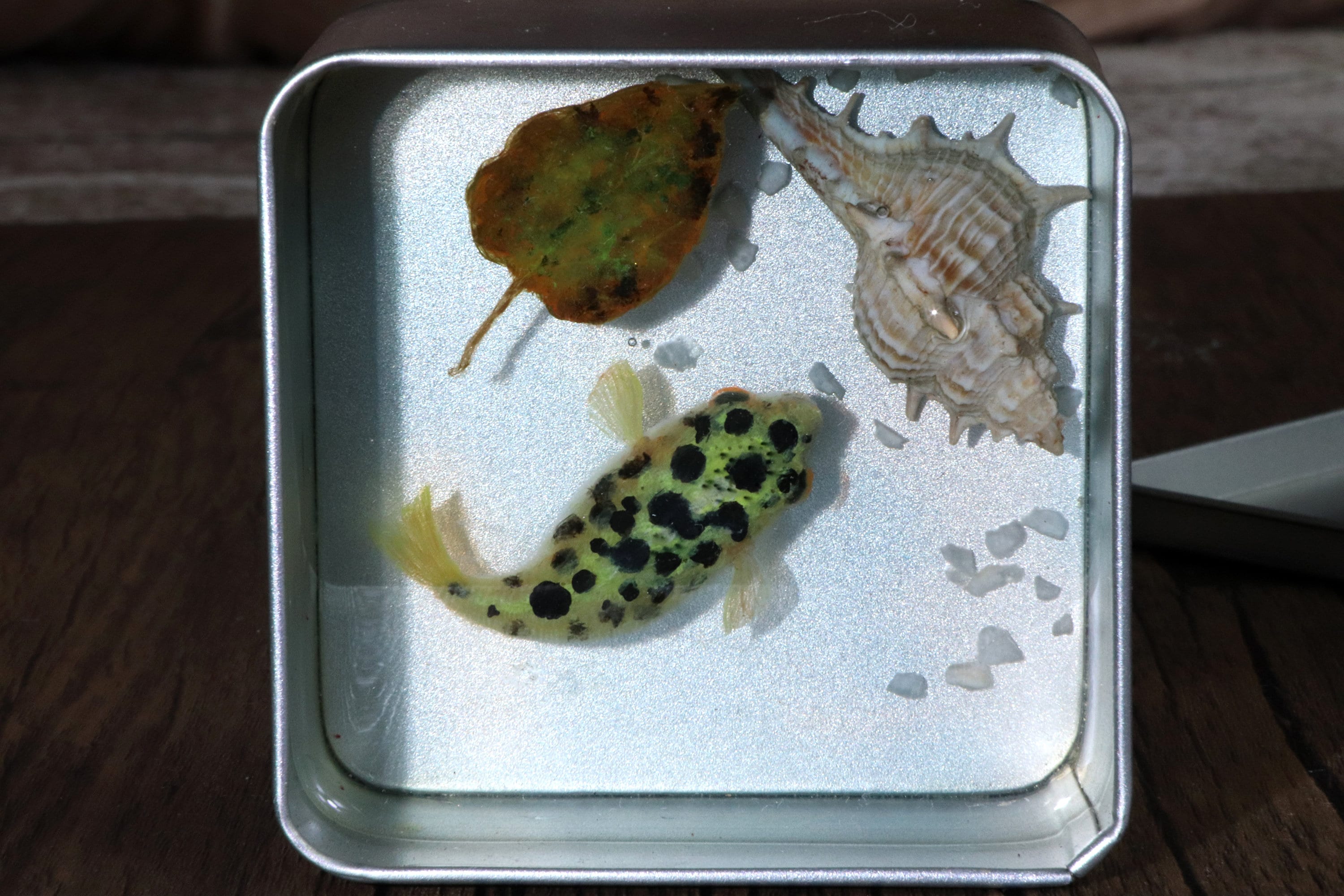 Epoxy Layers Painting Puffer Fish in an Iron Box, Resin Painting, 3D ...