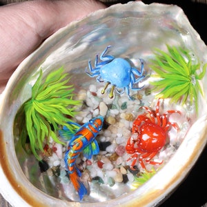 Abalone Shell Aquarium 3D Painting , 3D Resin Painting Mandarin Fish ...