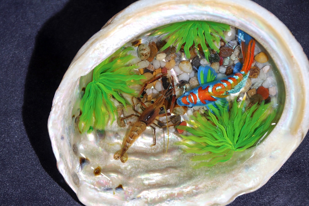 Resin Crafts Abalone Shell Aquarium, 3D Resin Painting Mandarin Fish in ...