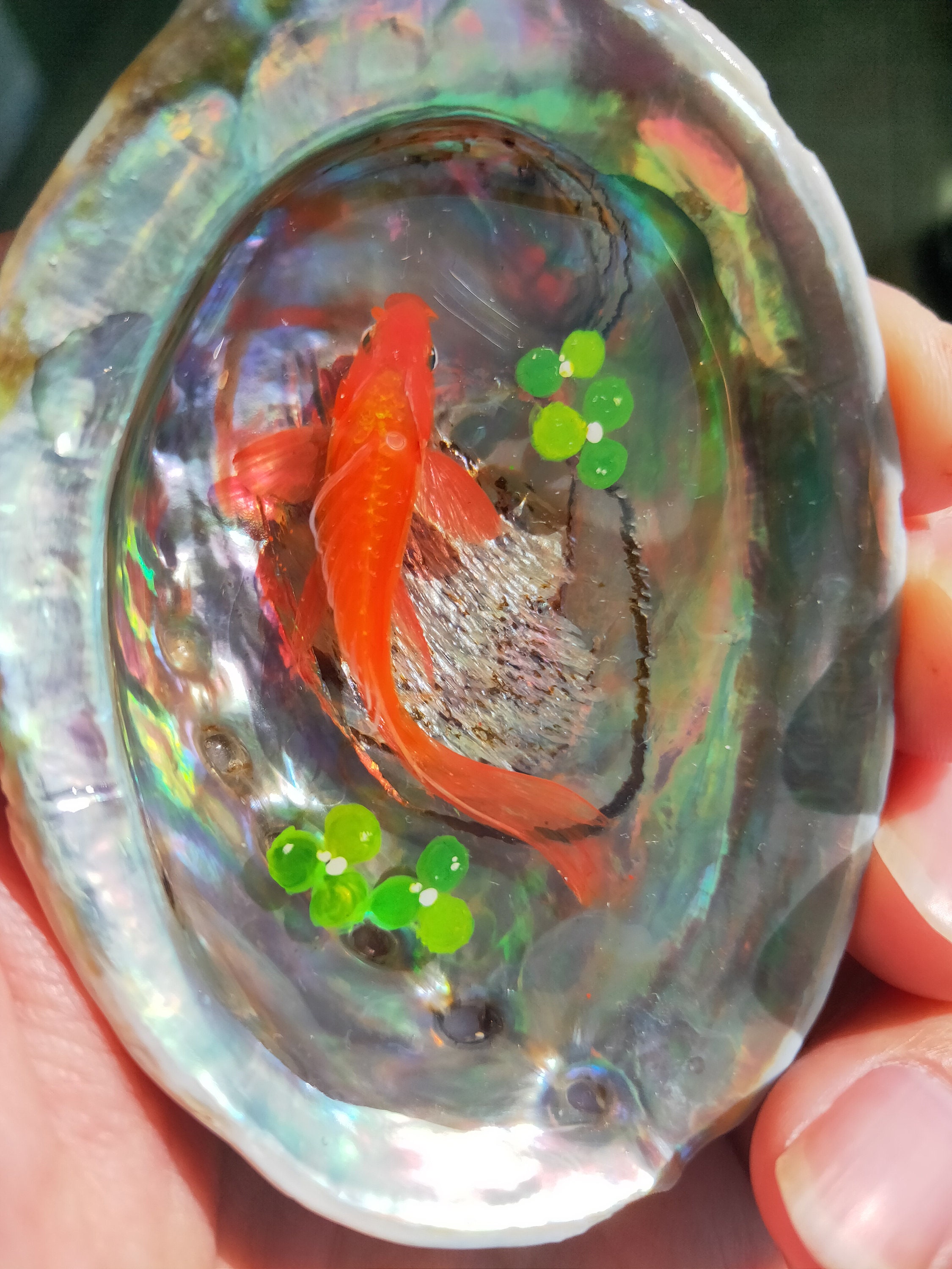 Abalone shell painting koi Coloured shell 3D resin painting | Etsy