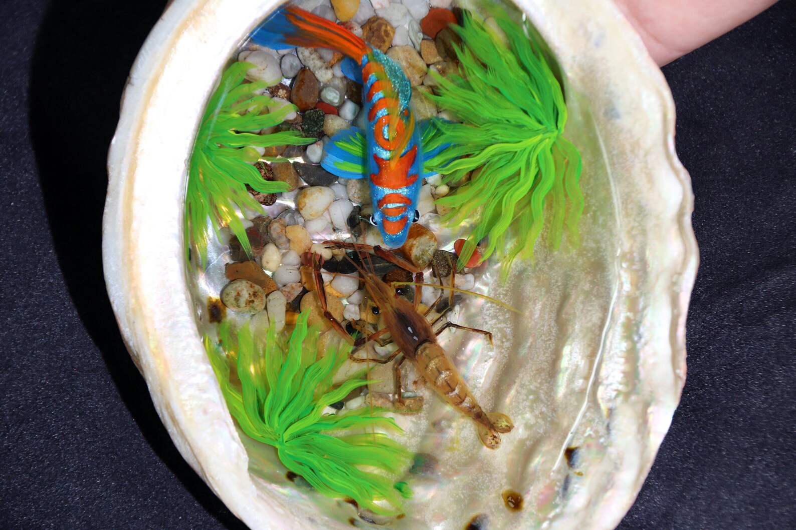 Resin Crafts Abalone Shell Aquarium, 3D Resin Painting Mandarin Fish in ...