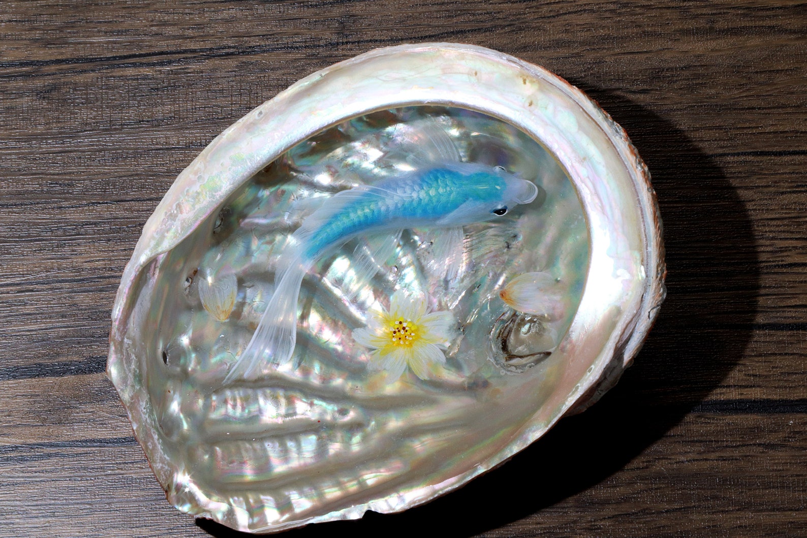 Fish Painting Abalone Shell Painting Koi Blue Koi Lay in - Etsy