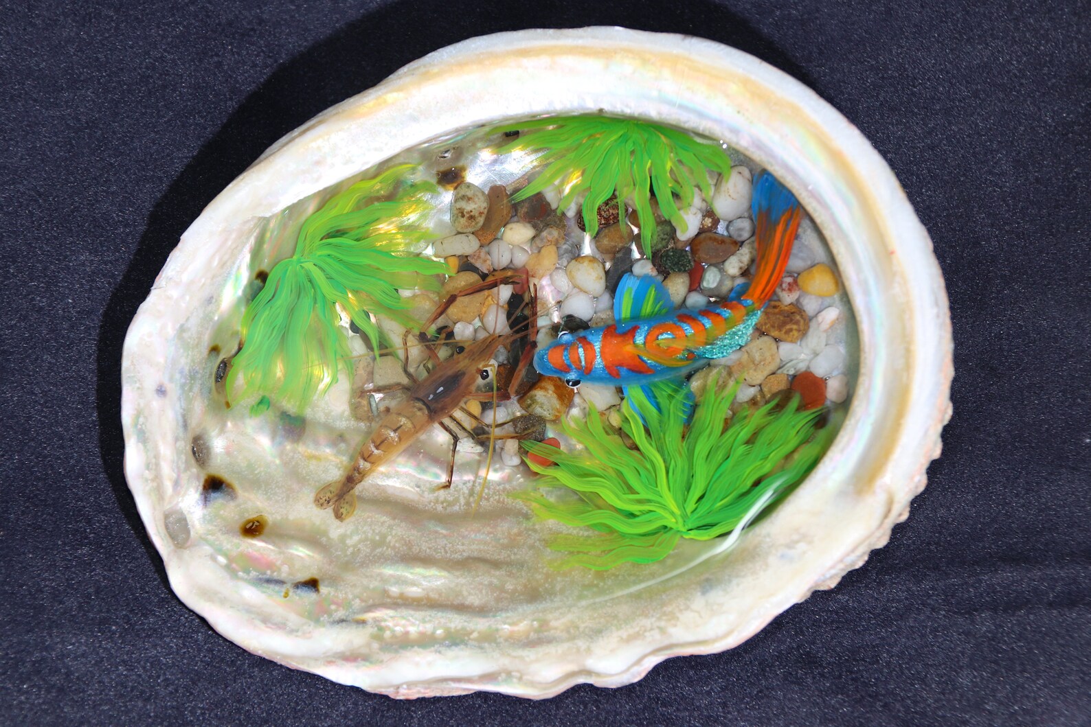 Resin Crafts Abalone Shell Aquarium 3D Resin Painting - Etsy