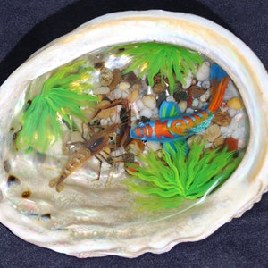 Resin Crafts Abalone Shell Aquarium, 3D Resin Painting Mandarin Fish in ...