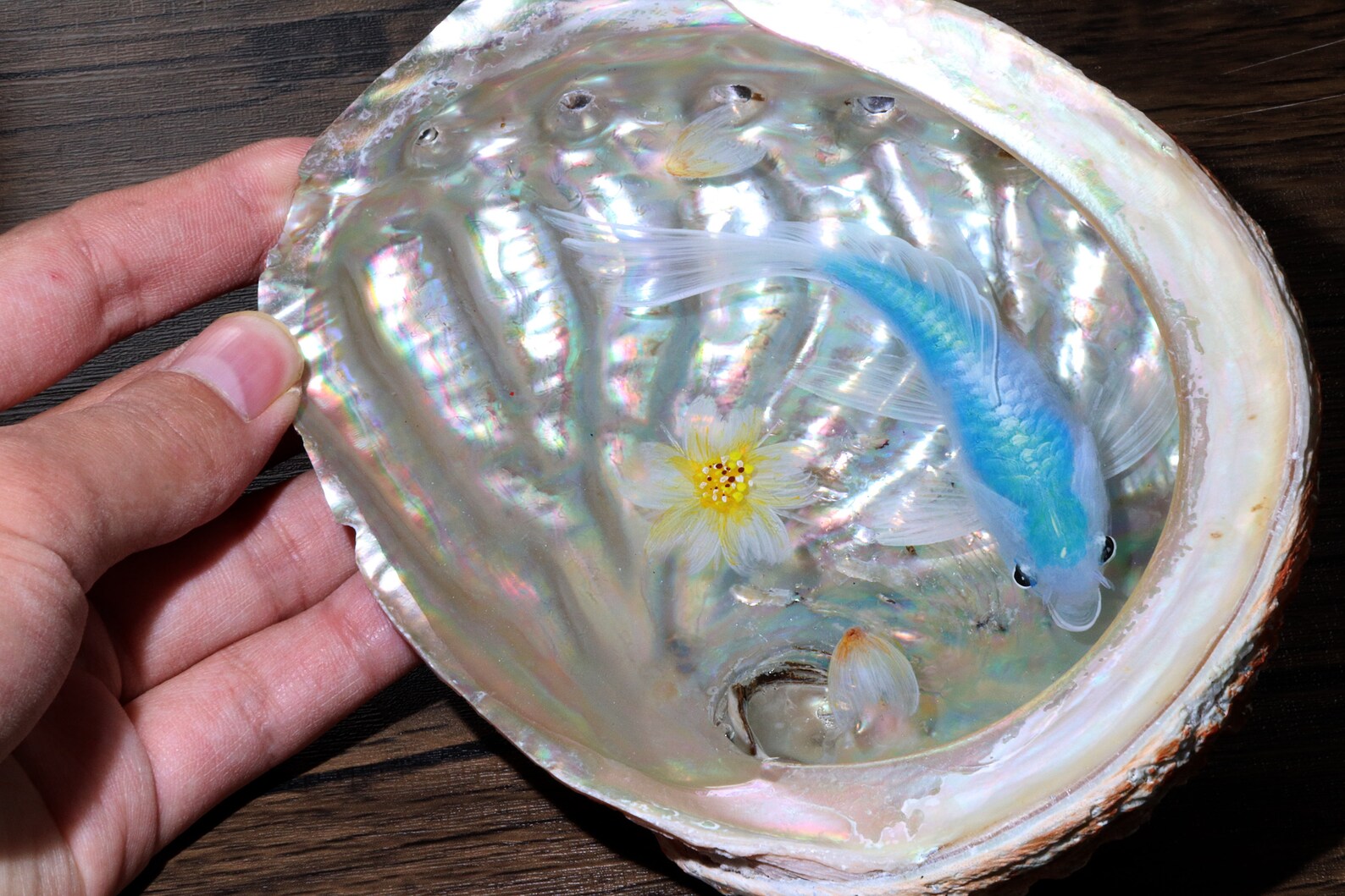 Fish Painting Abalone Shell Painting Koi Blue Koi Lay in - Etsy