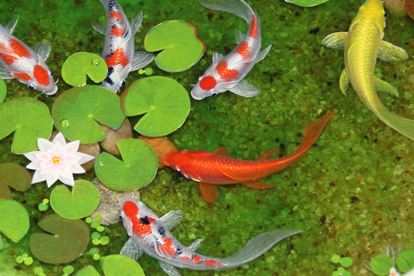 3D Resin Painting Painted Ceramic Aquarium Goldfish - Etsy