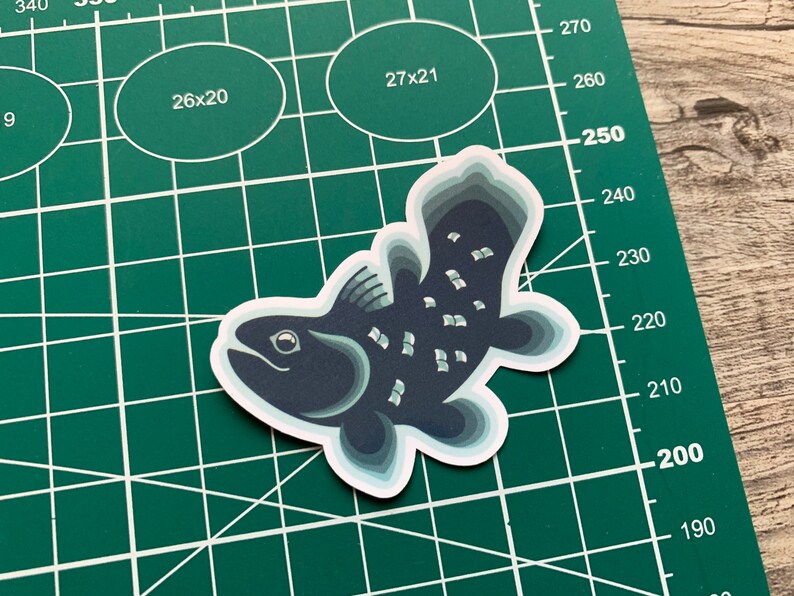 Cute Coelacanth coelacanth Prehistoric Deep Sea Fish vinyl Sticker - Etsy