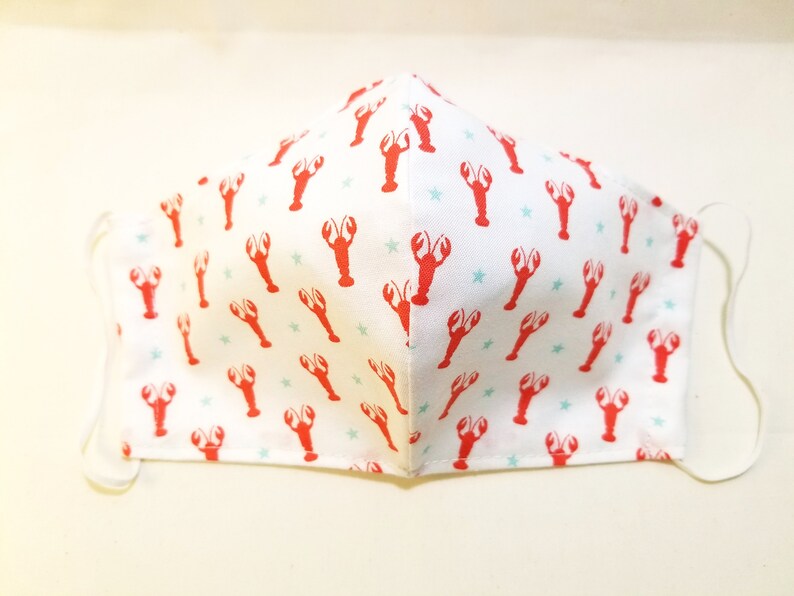3D Fabric Mask Pineapple Lobster BBQ Washable Mask Made - Etsy