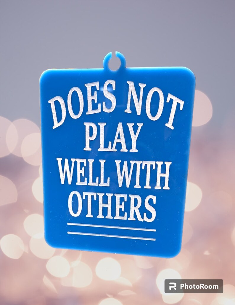 Does Not Play Well With Others Sign. 4.25x5.75 Inch Acrylic Laser ...