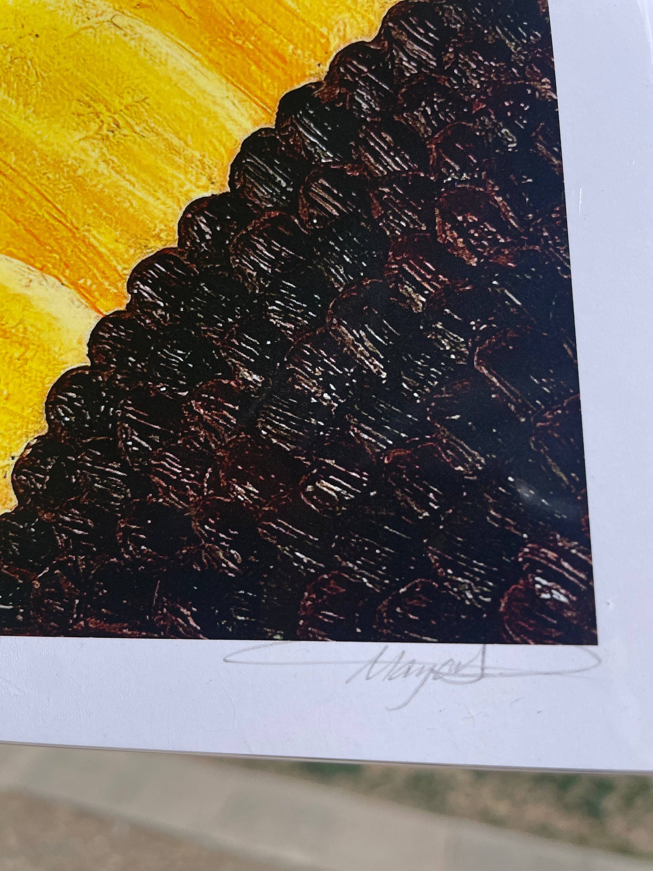 Sunflower Print - Etsy