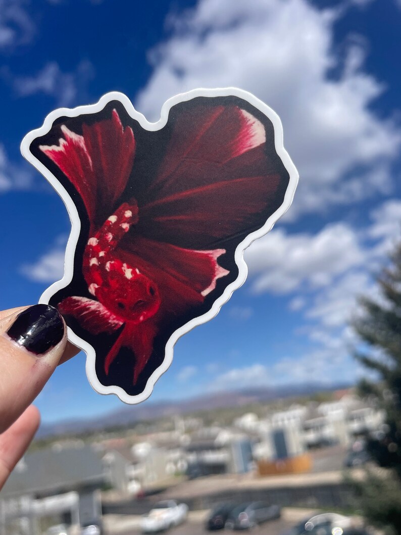 Betta Fish Sticker Bundle - Etsy