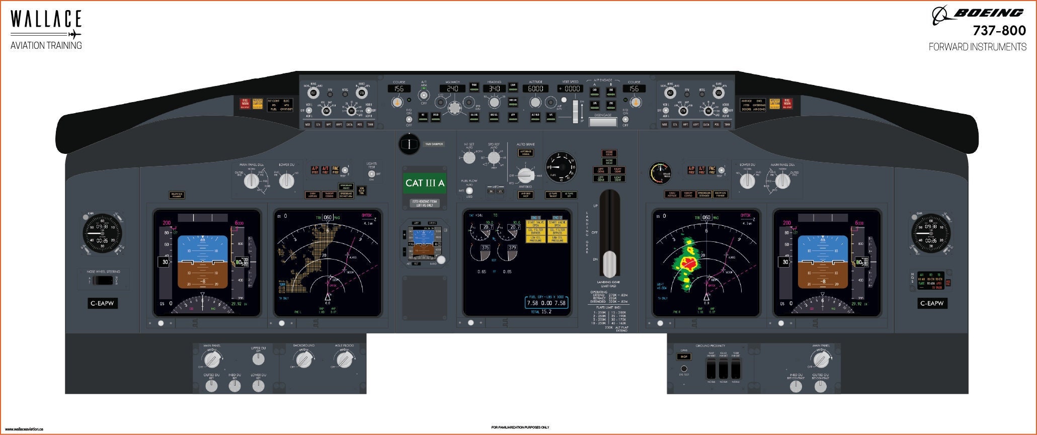 Boeing 737-800 Cockpit Familiarization Poster - Digital Full Scale 3 ...