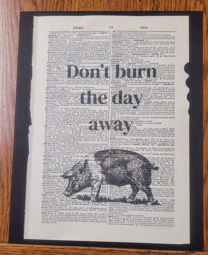 Dave Matthews Band "don't Burn the Day" Pig Vintage Dictionary Art - Etsy