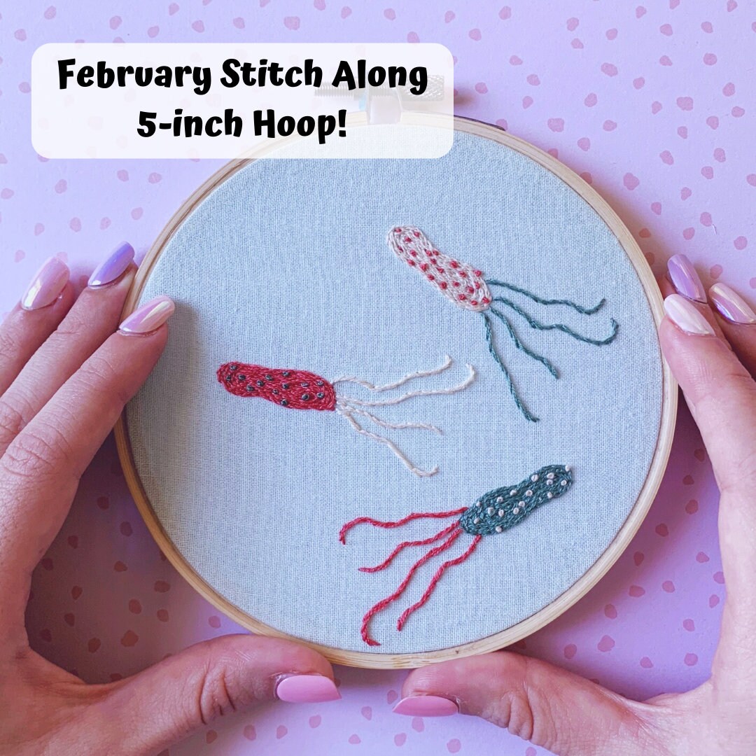 Biology Embroidery Kit, Science Art DIY, Bacteria Art, Petri Dish Art ...