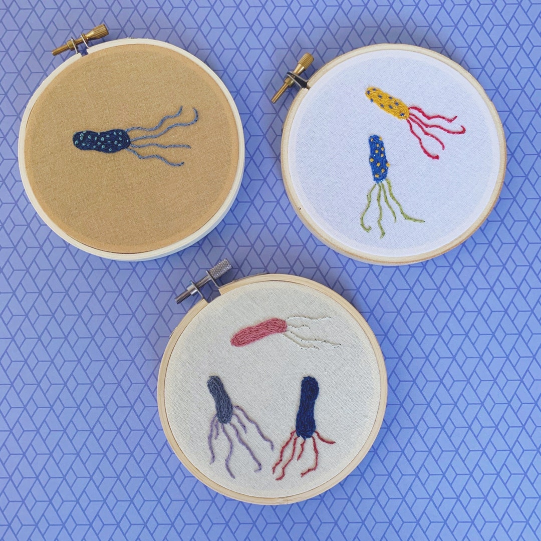 Bacteria Embroidery Hoop, 4 in Embroidery, Science Embroidery, Biology ...