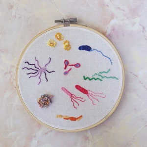 Bacteria Embroidery Hoop, 6in Embroidery, Science Embroidery, Biology ...