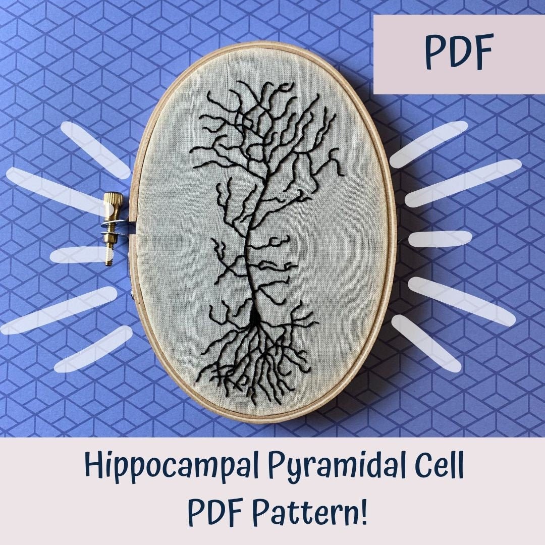 Hippocampal Pyramidal Cell Beginner Embroidery Pattern, Neuron DIY ...