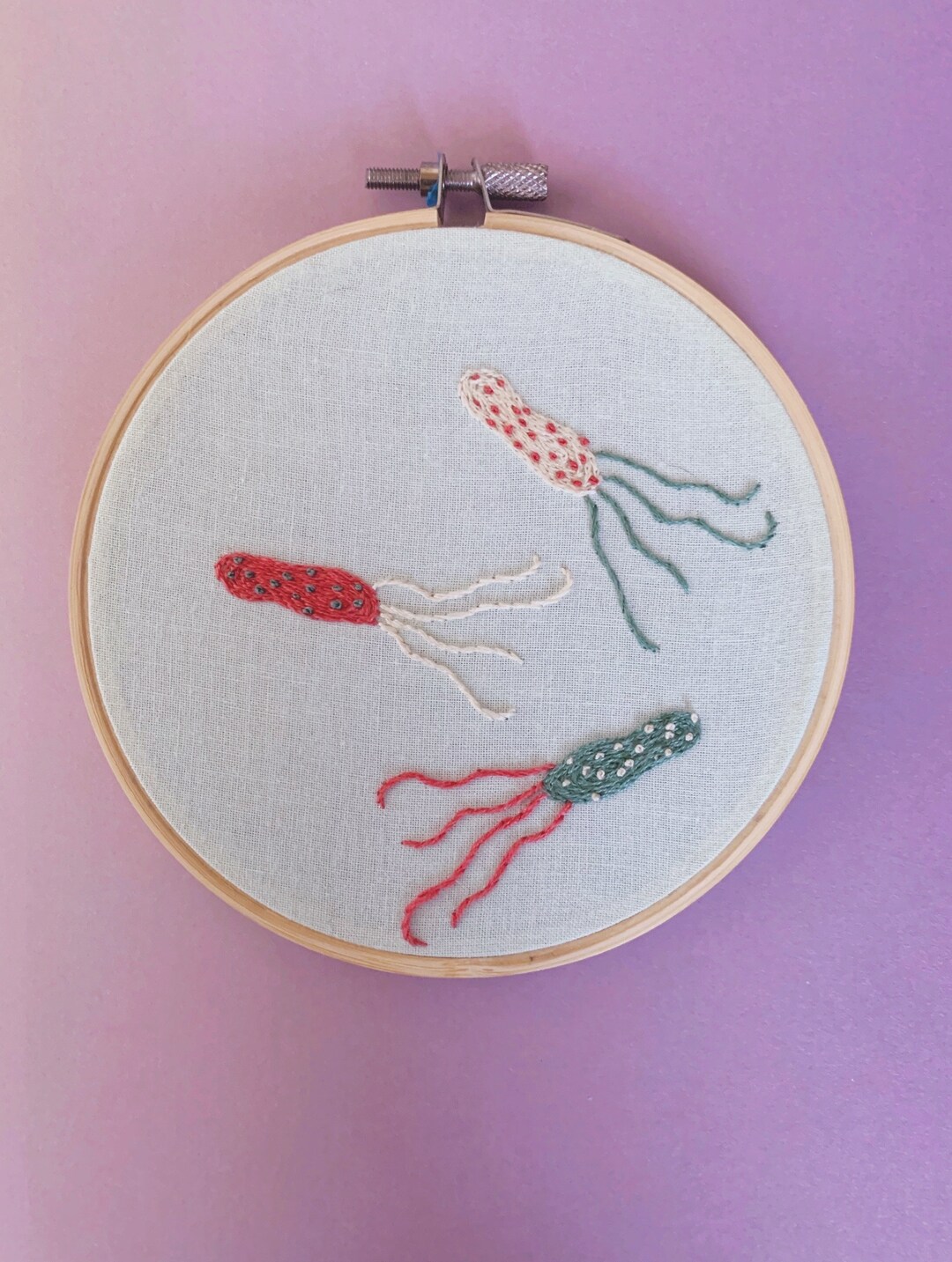 Bacteria Embroidery Hoop, 5in Embroidery, Science Embroidery, Biology ...