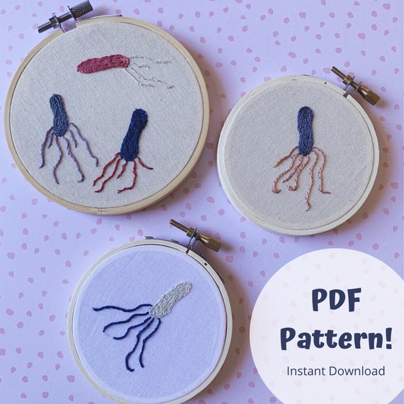 Biology Embroidery Pattern Bacteria Science Art Embroidery - Etsy