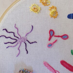 Bacteria Embroidery Hoop, 6in Embroidery, Science Embroidery, Biology ...