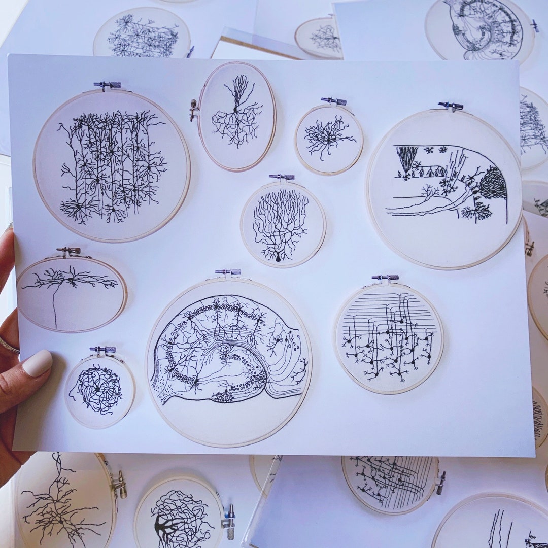 Single Brain Cells and Brain Areas, Neuroscience Embroidery Art Print ...