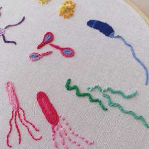 Bacteria Embroidery Hoop, 6in Embroidery, Science Embroidery, Biology ...