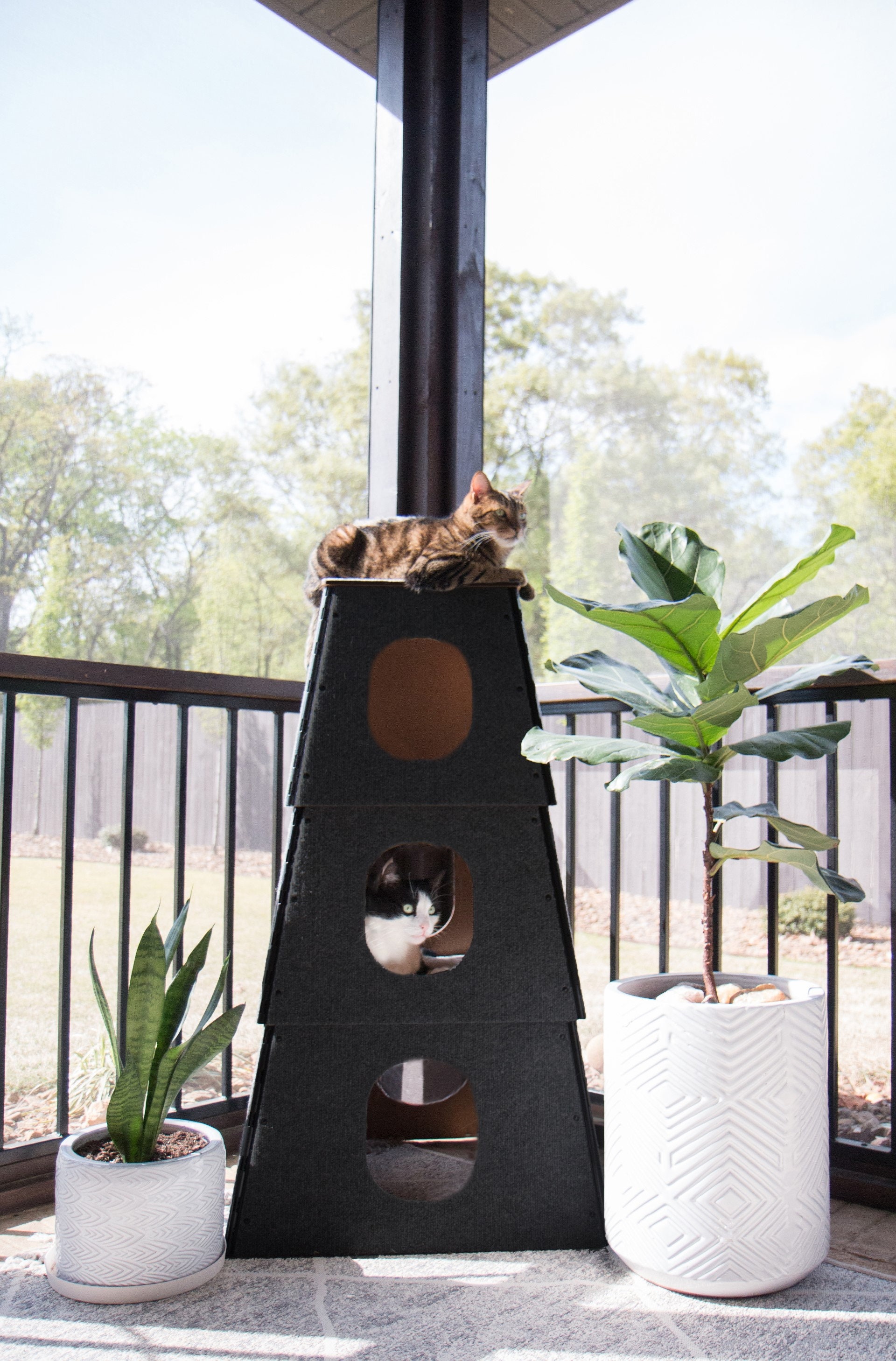 Outdoor Cat Tree House