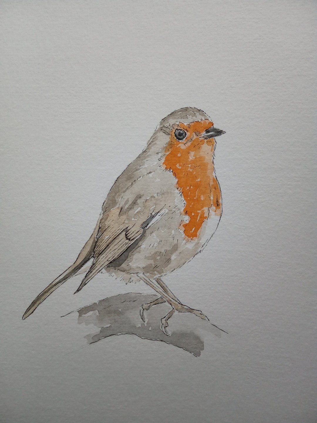 Robin Pen and Watercolour Painting - Etsy