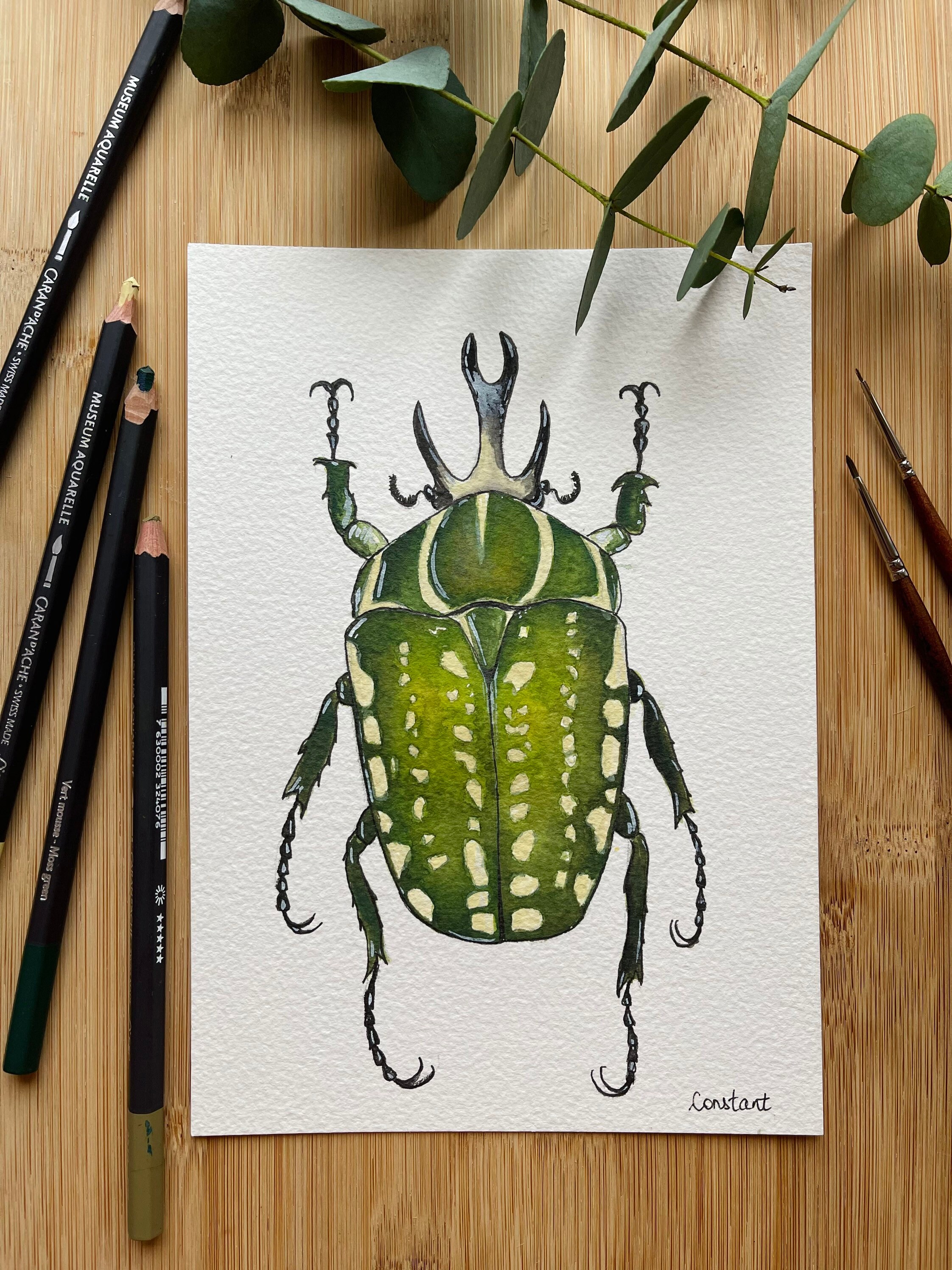Watercolor Original Watercolor Insect Aquarelle Originale Insecte ...