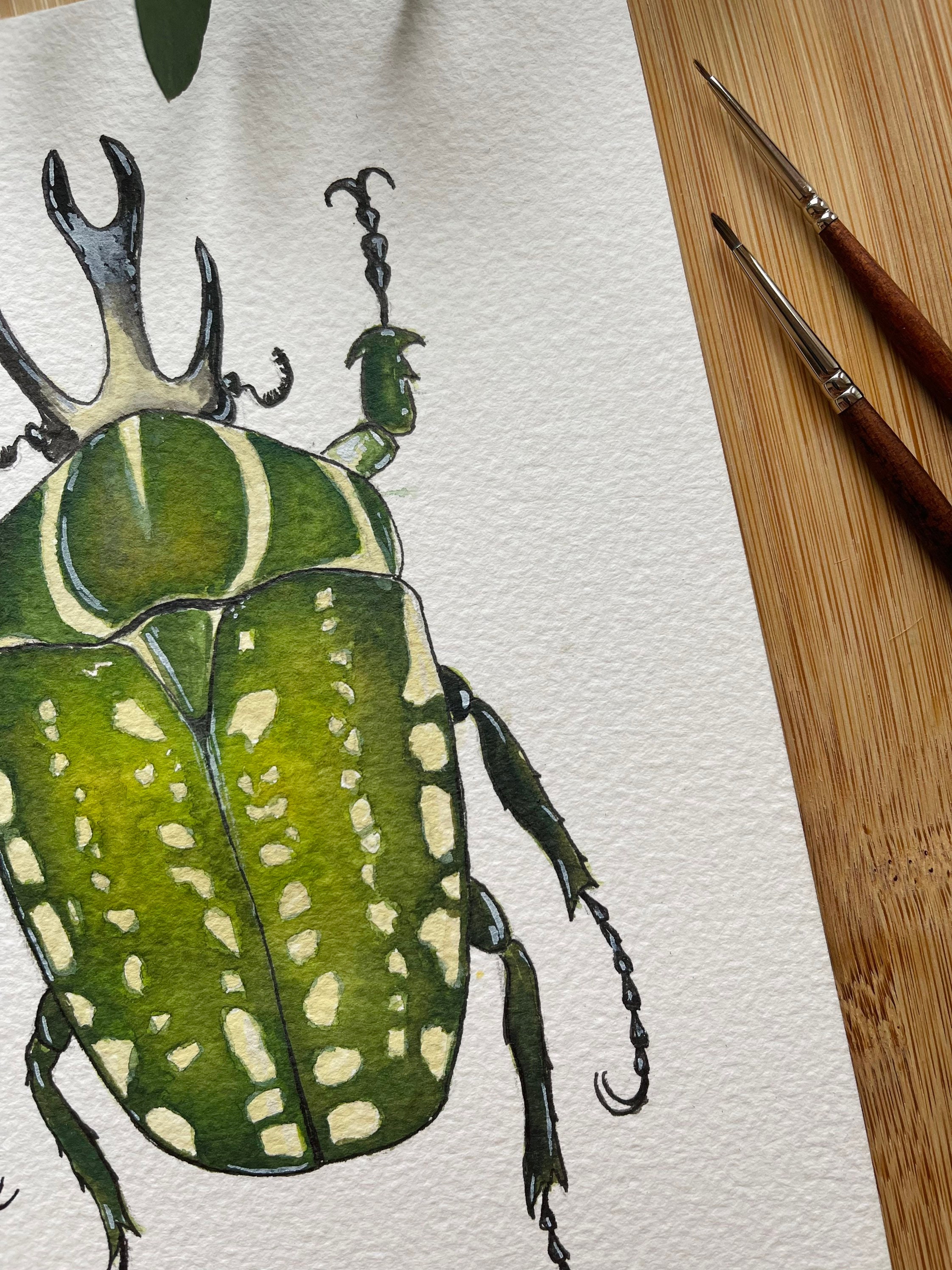 Watercolor Original Watercolor Insect Aquarelle Originale Insecte ...