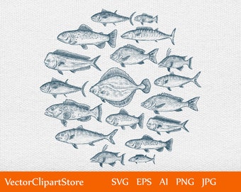 American Shad Svg Salt Water Fish Svg Marine Svg Aquatic - Etsy