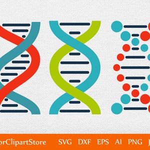 Vector DNA Structure / Biometric SVG / Molecule / Genetic Svg / Gene ...