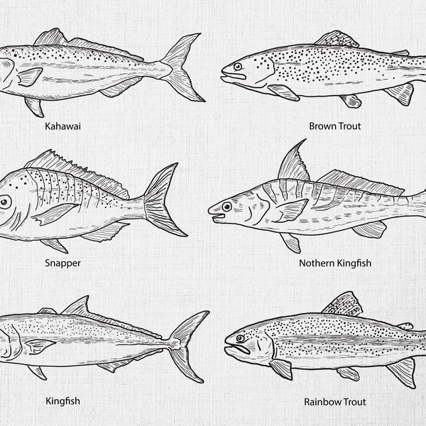 Red Snapper Fish Clipart - Etsy