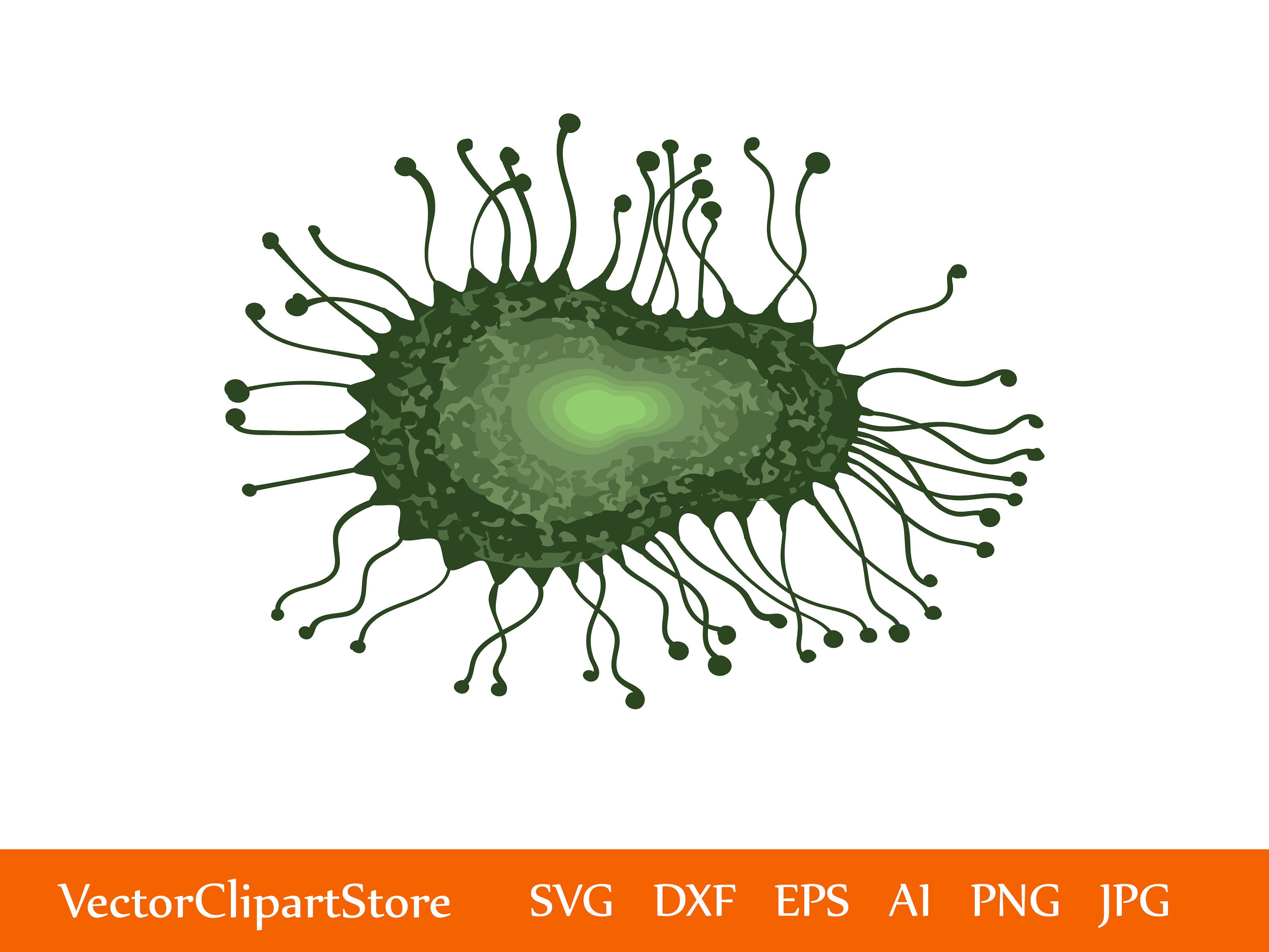 Viruses and Bacteria Vector Clipart Set. Microscopic Cell | Etsy