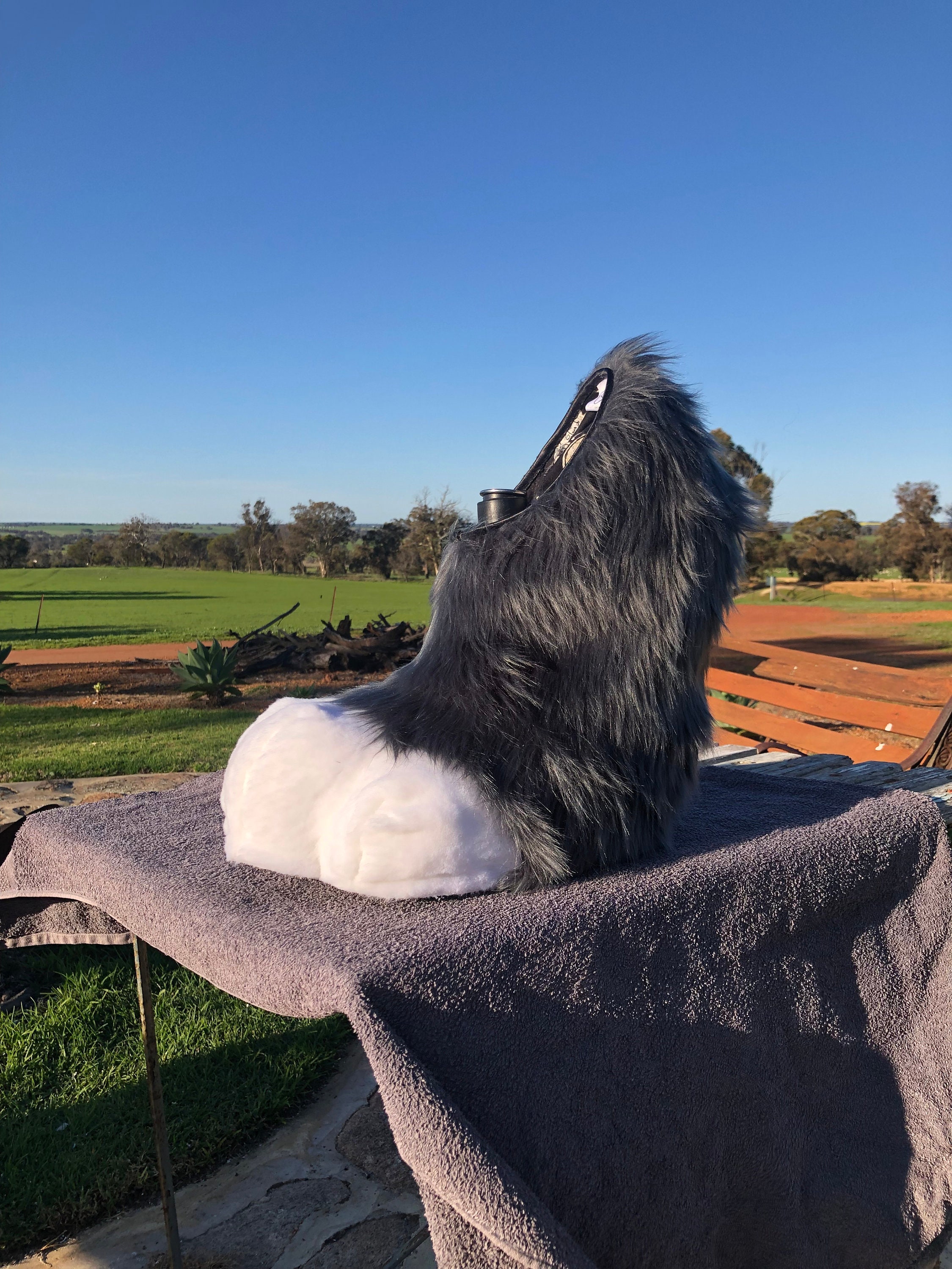 Fursuit Feet Paws Outdoor Fursuit Feet Paws Digi Feet Paws - Etsy