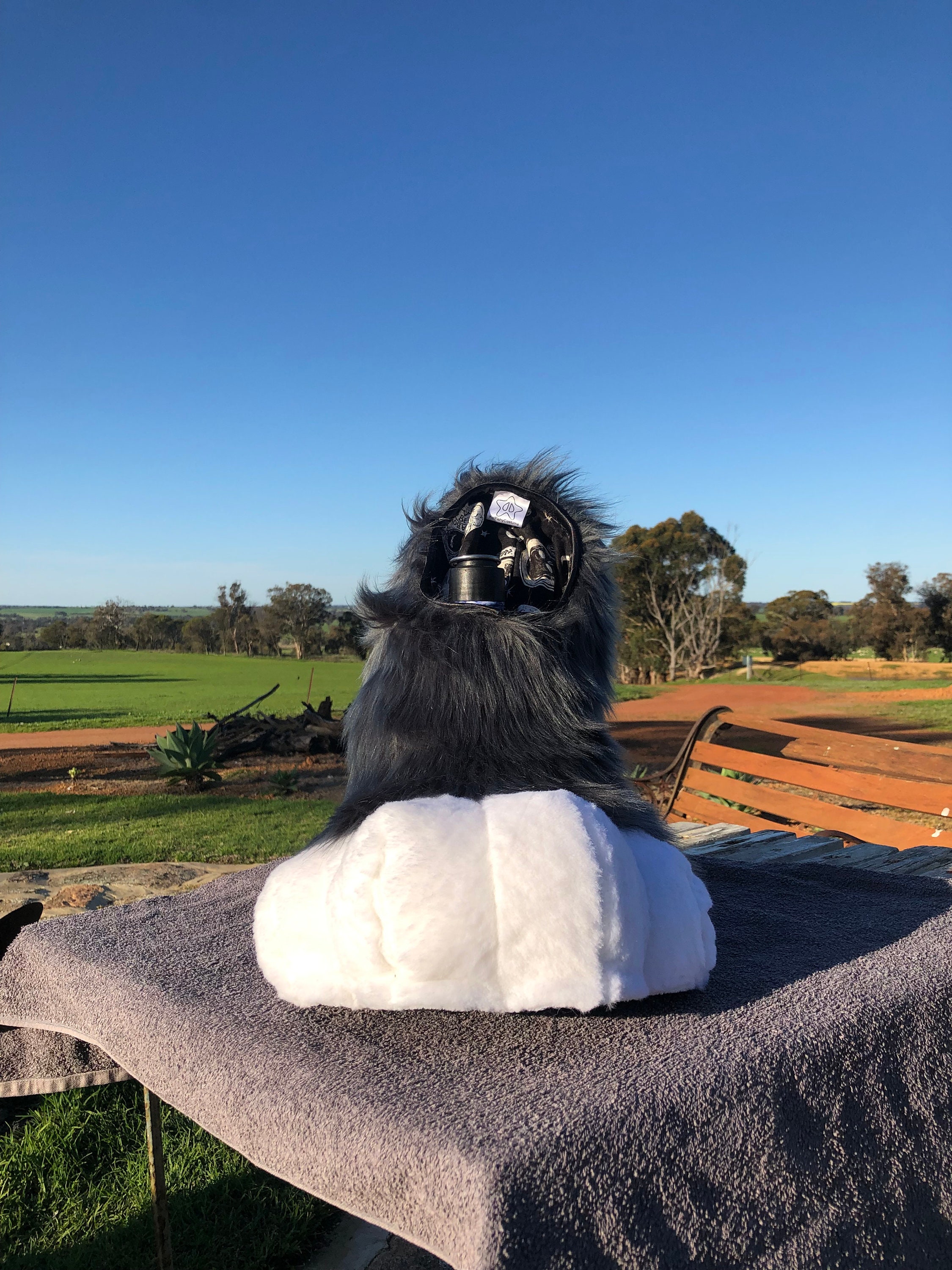 Fursuit Feet Paws Outdoor Fursuit Feet Paws Digi Feet Paws - Etsy