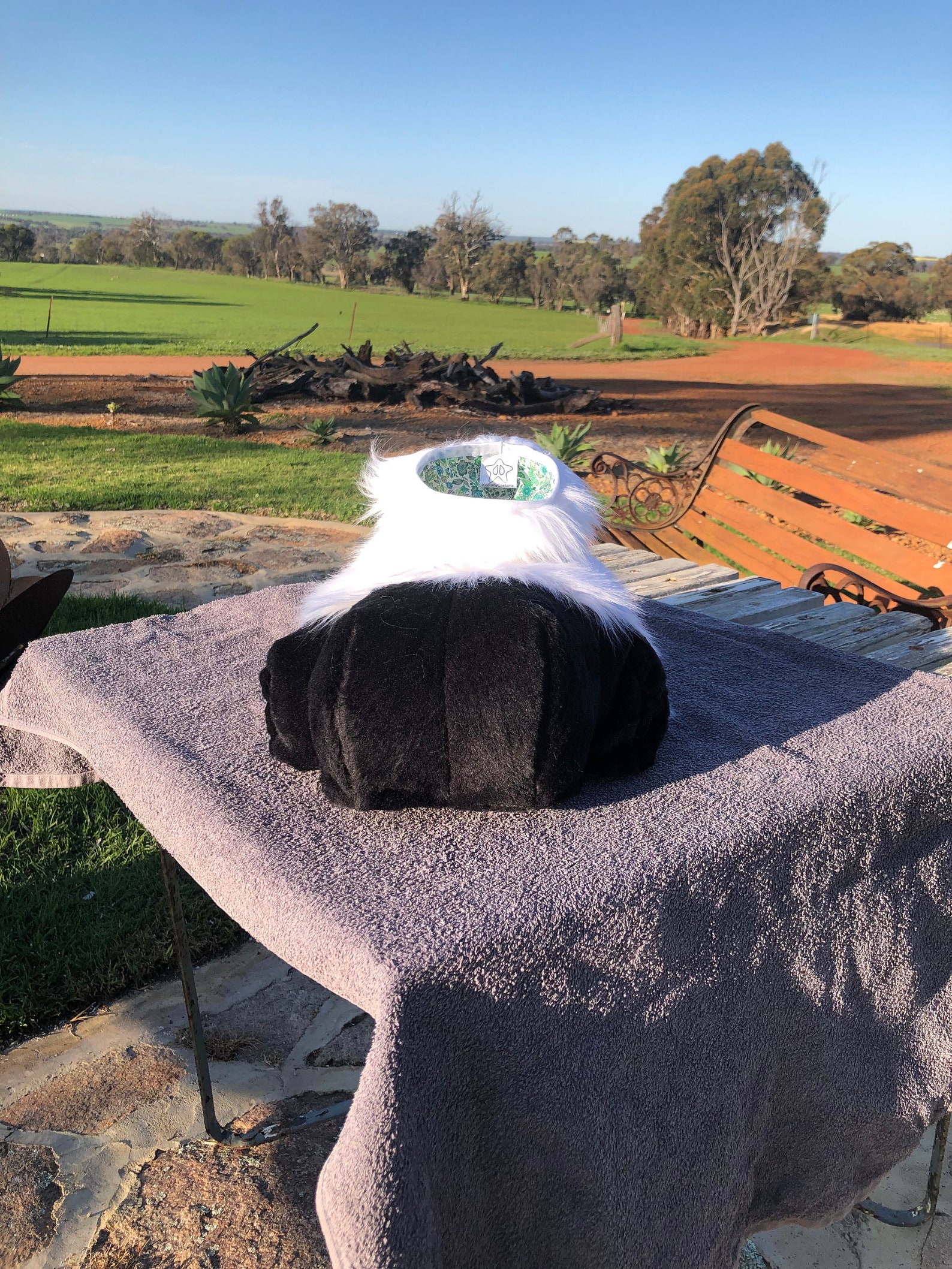 Fursuit Feet Paws Outdoor Fursuit Feet Paws Digi Feet Paws - Etsy