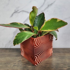 The Wavy Square Planter Pot With Optional Drip Tray in Shiny Copper ...