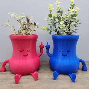 Cheeky Middle Finger Planter People | Succulent Planter | Gag Gift Pot ...