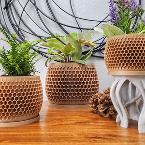 The Honeycomb Pot With Honeycomb Style Drainage | Original Design | Unique Planter - Etsy