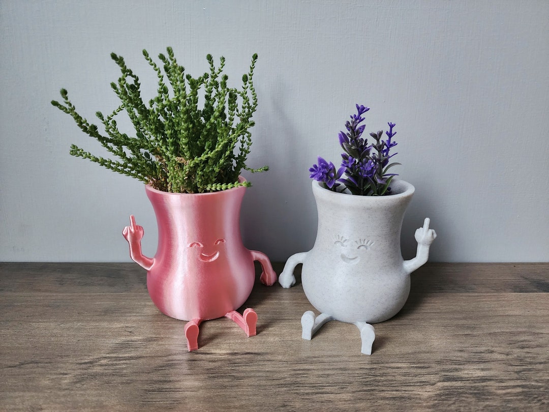Cheeky Middle Finger Planter People | Succulent Planter | Gag Gift Pot ...