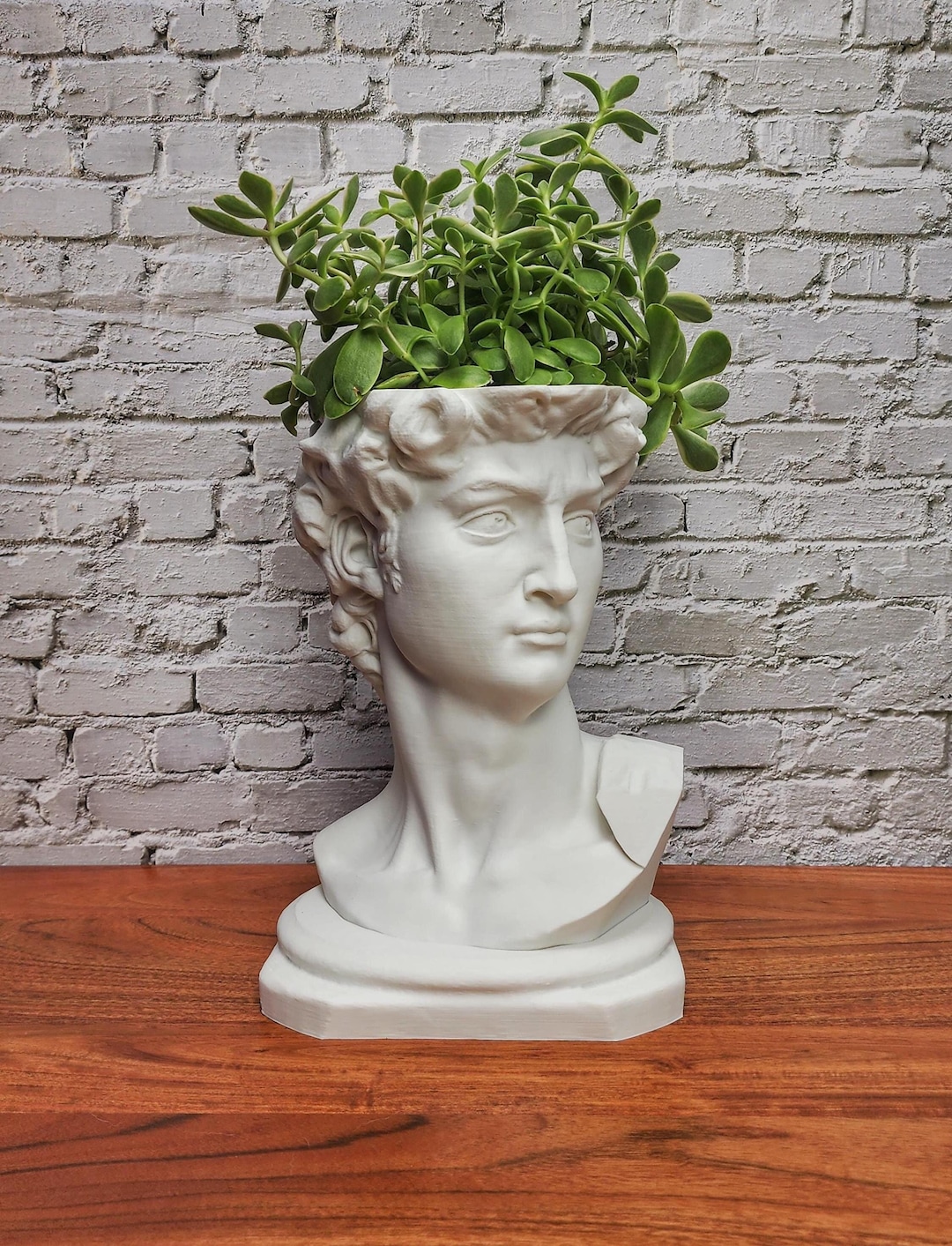 Michelangelo's David Bust Planter Pot With Drip Tray - Etsy