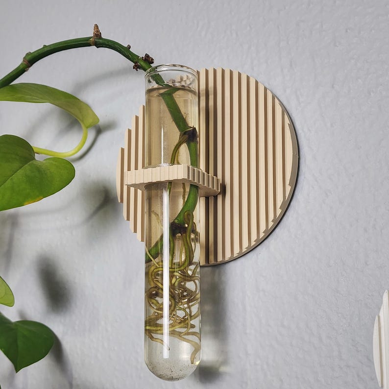 Wall Plant Propagation With Vertical Lines | Original Design & Eco ...